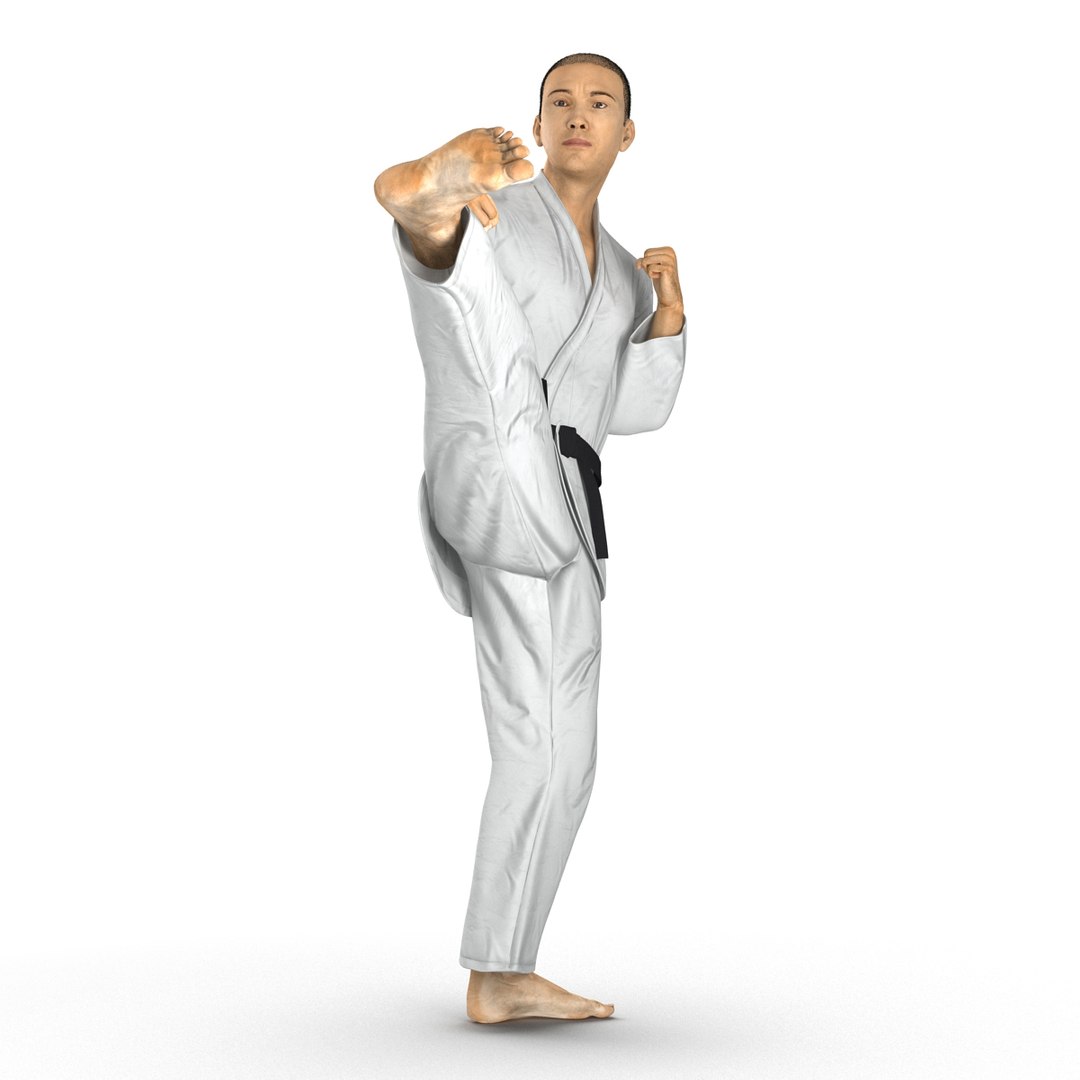 3d Model Japanese Karate Fighter Pose