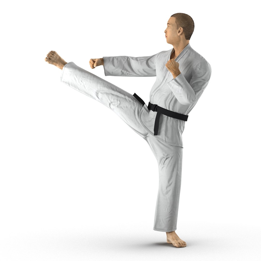 3d Model Japanese Karate Fighter Pose