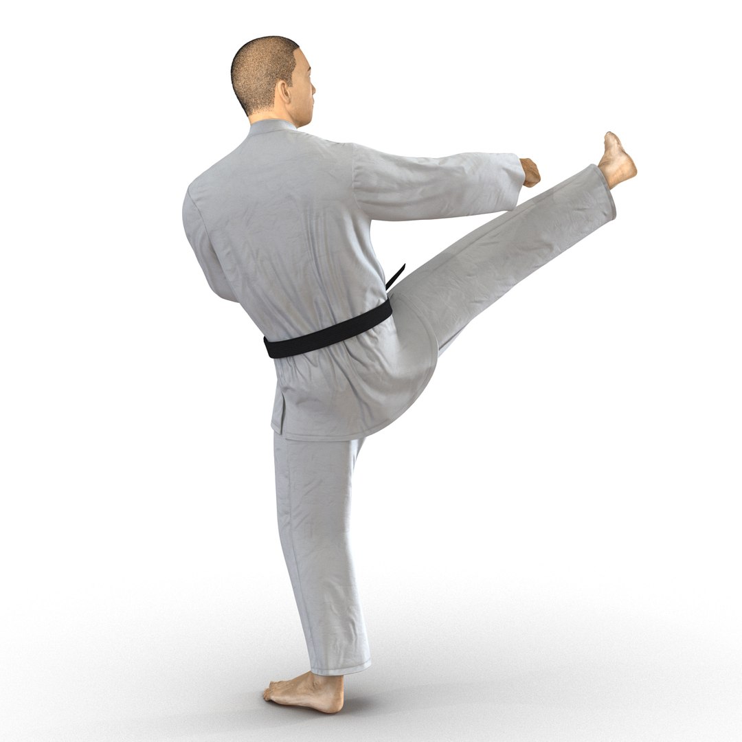 3d Model Japanese Karate Fighter Pose