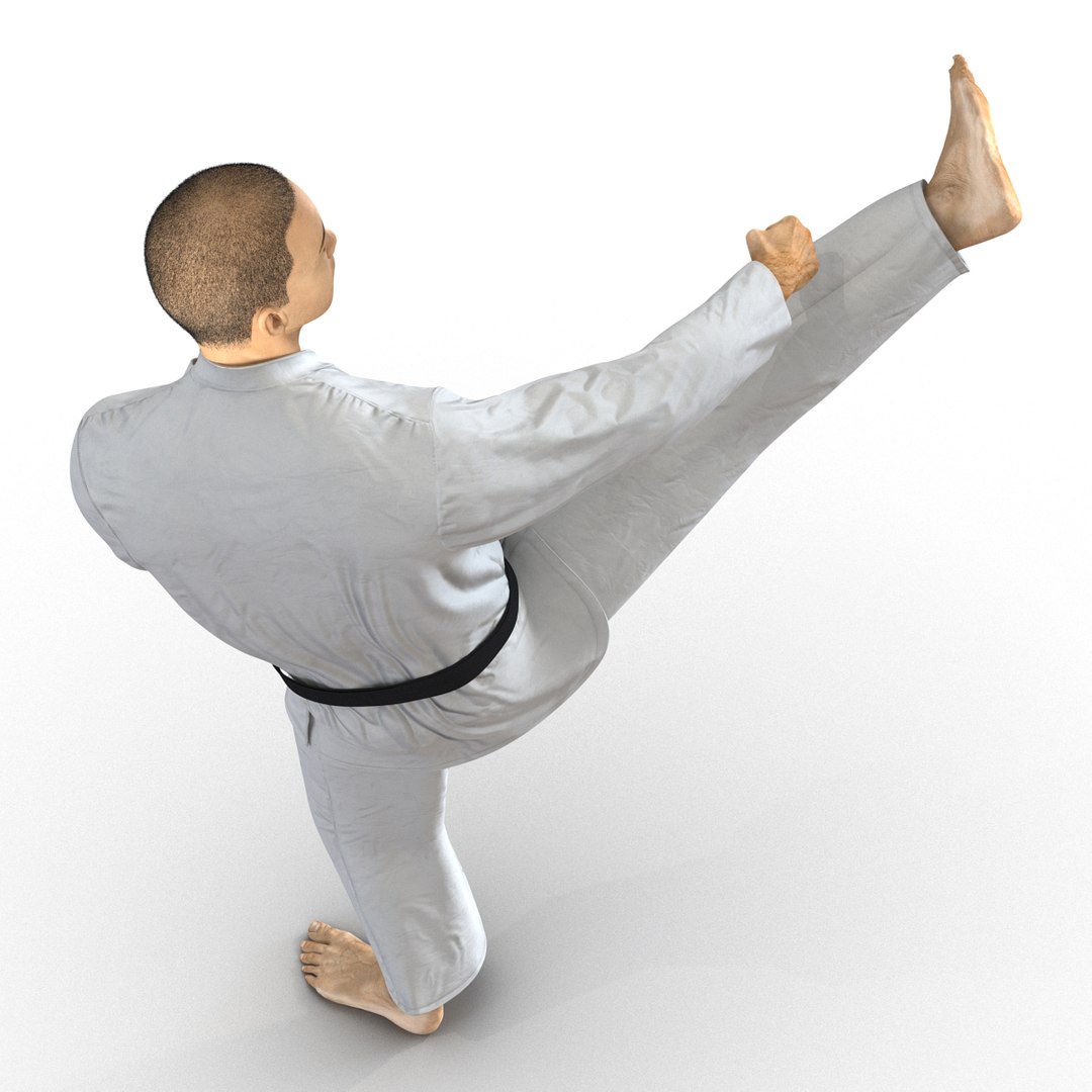 3d Model Japanese Karate Fighter Pose