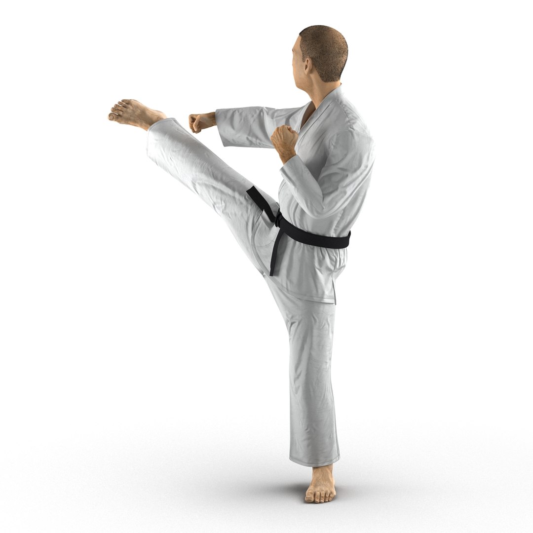 3d Model Japanese Karate Fighter Pose