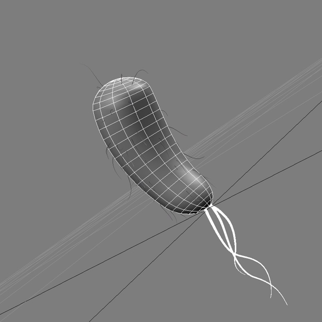 3d Microbes Micro Organisms