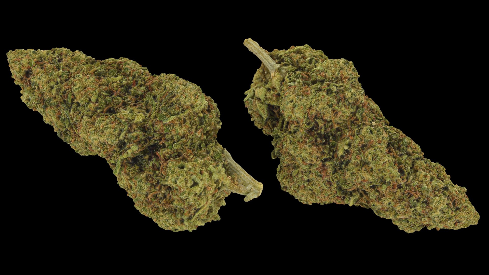 Marijuana Bud 3D - TurboSquid 2067186