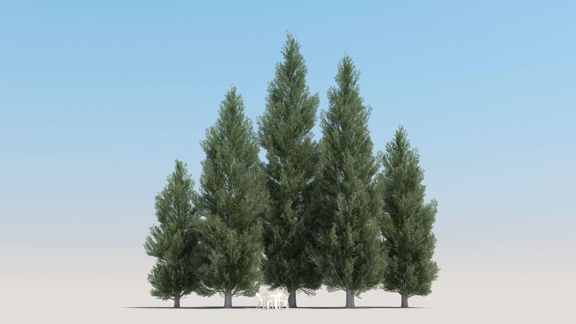 3d 20 Trees
