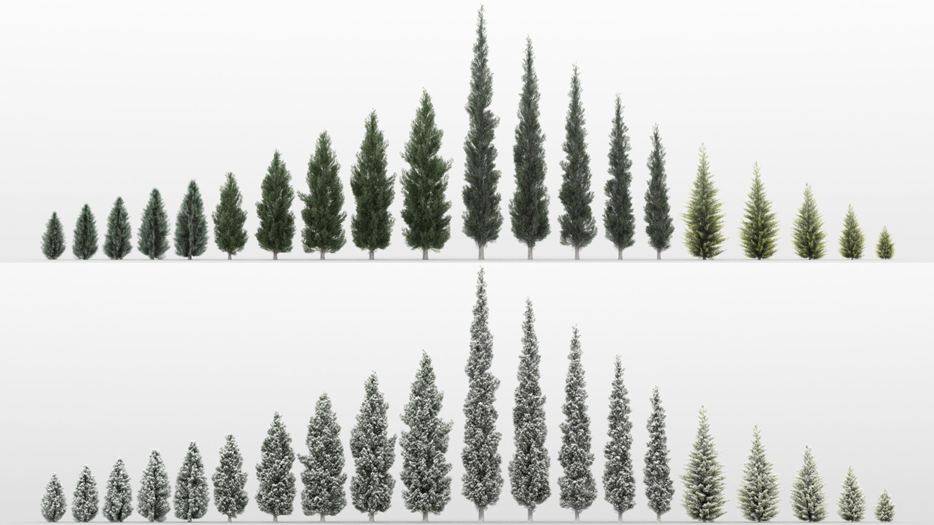 3d 20 Trees