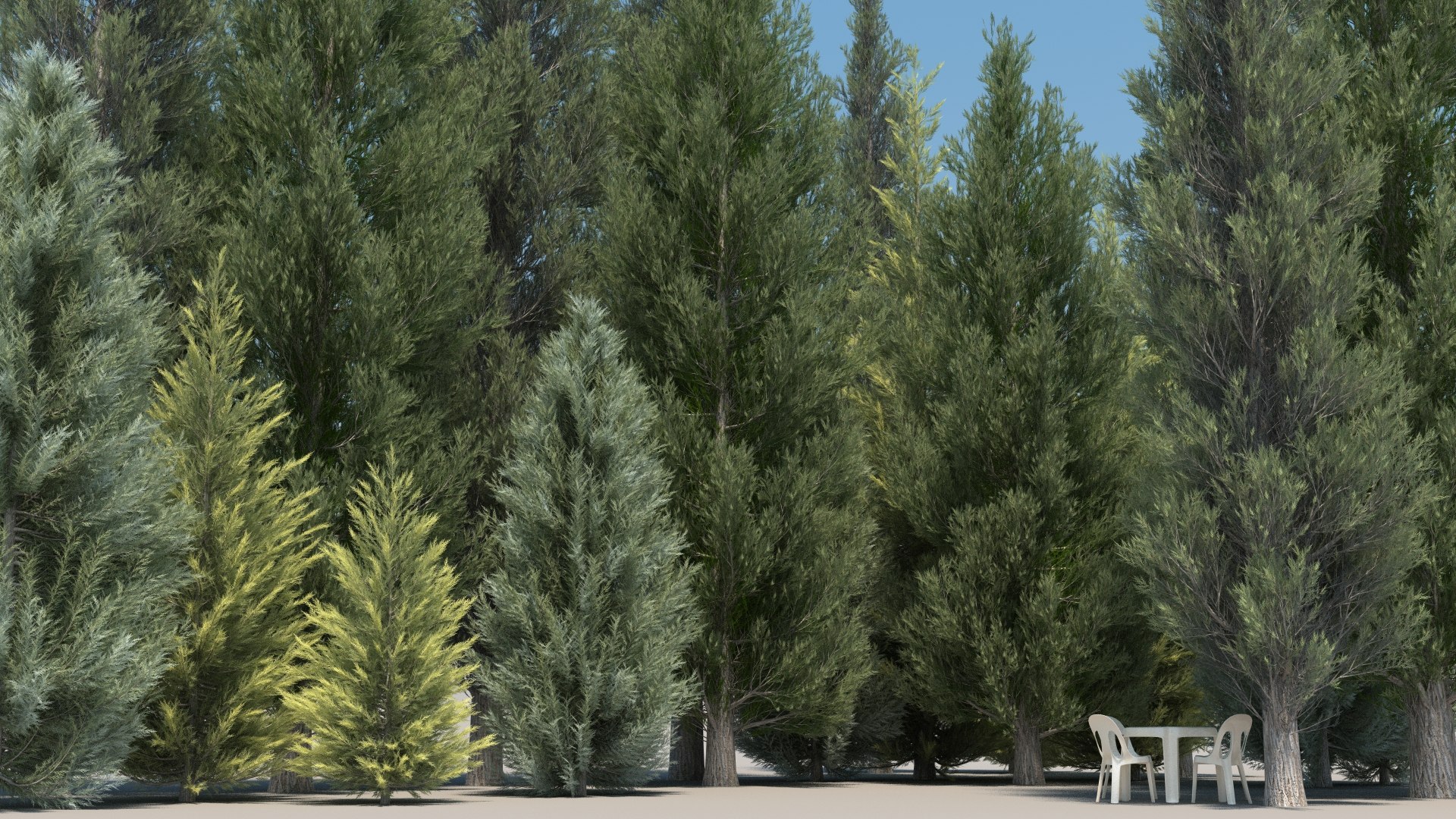 3d 20 Trees