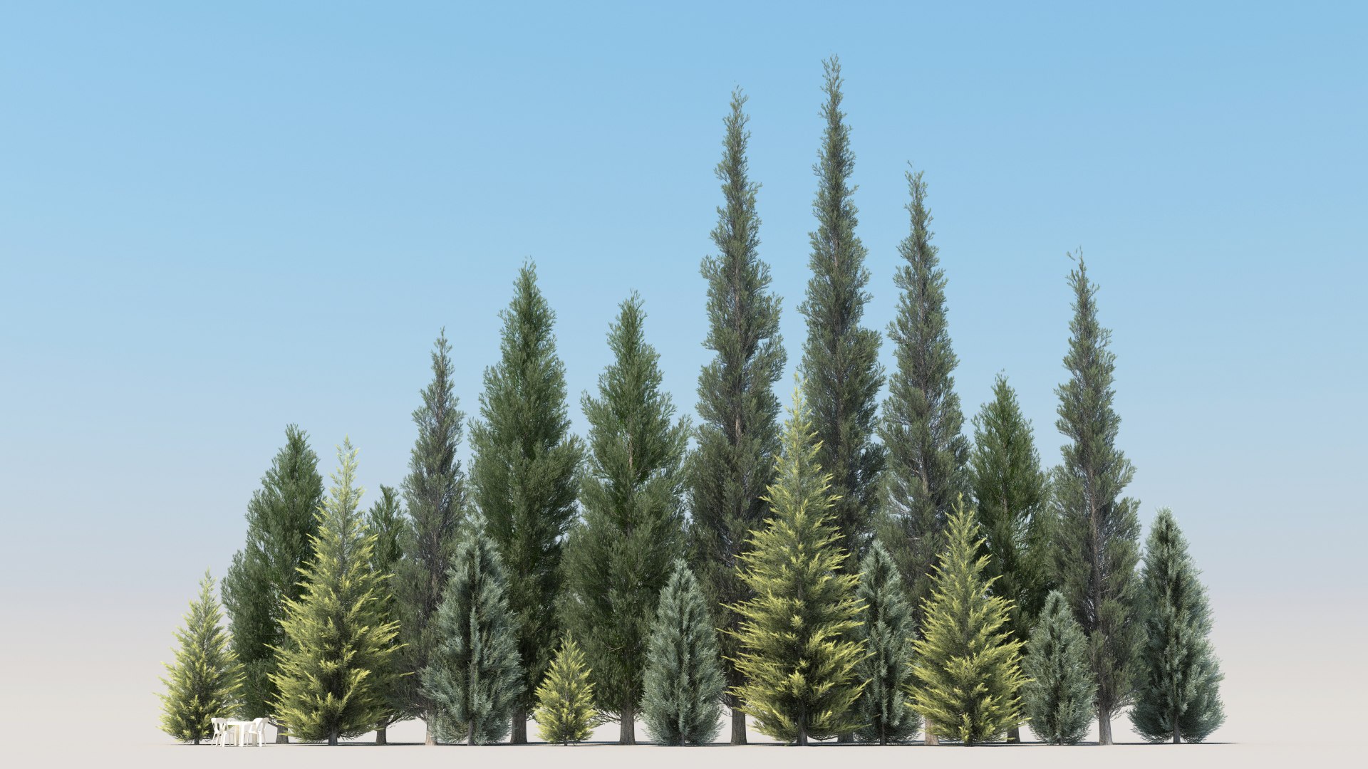 3d 20 Trees