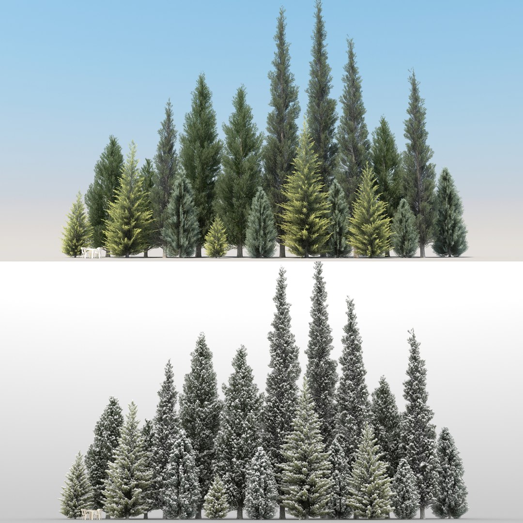 3d 20 Trees