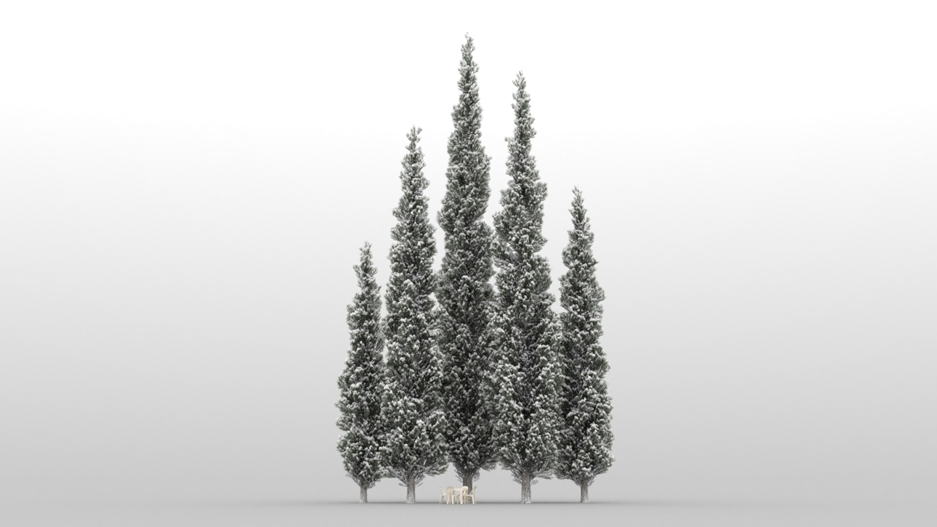 3d 20 Trees