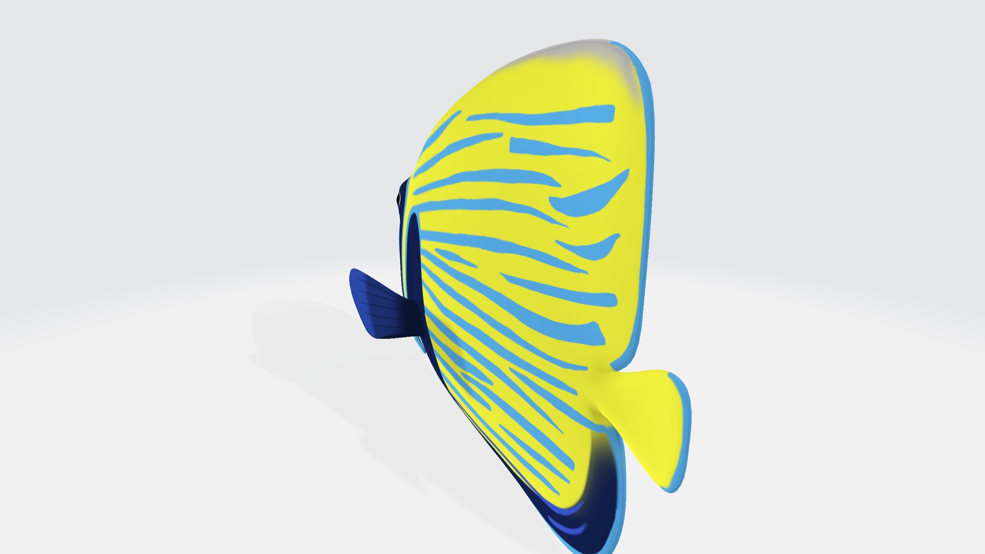 3D Model Angelfish - TurboSquid 2304557