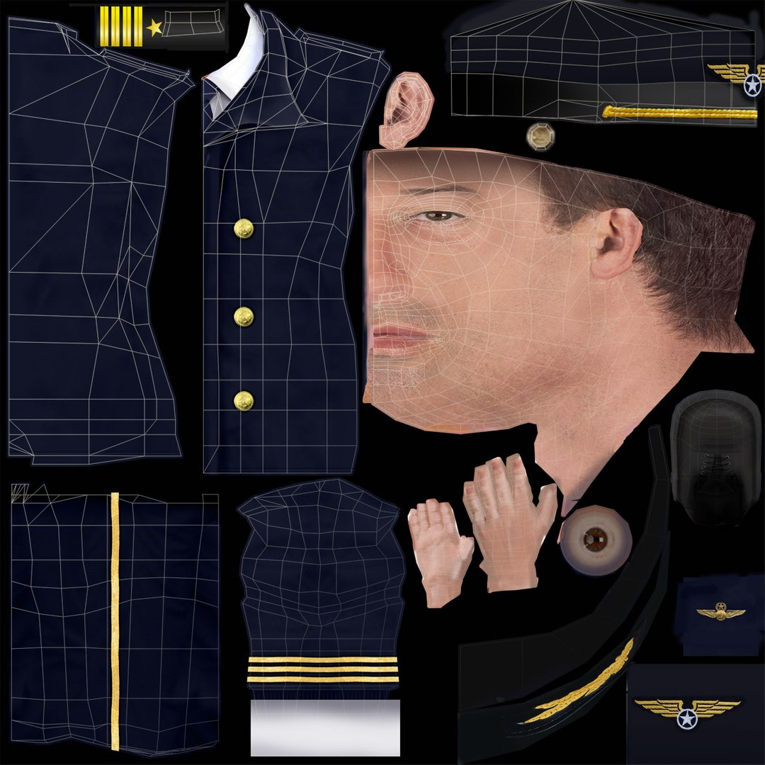 3d Model Airliner Pilot
