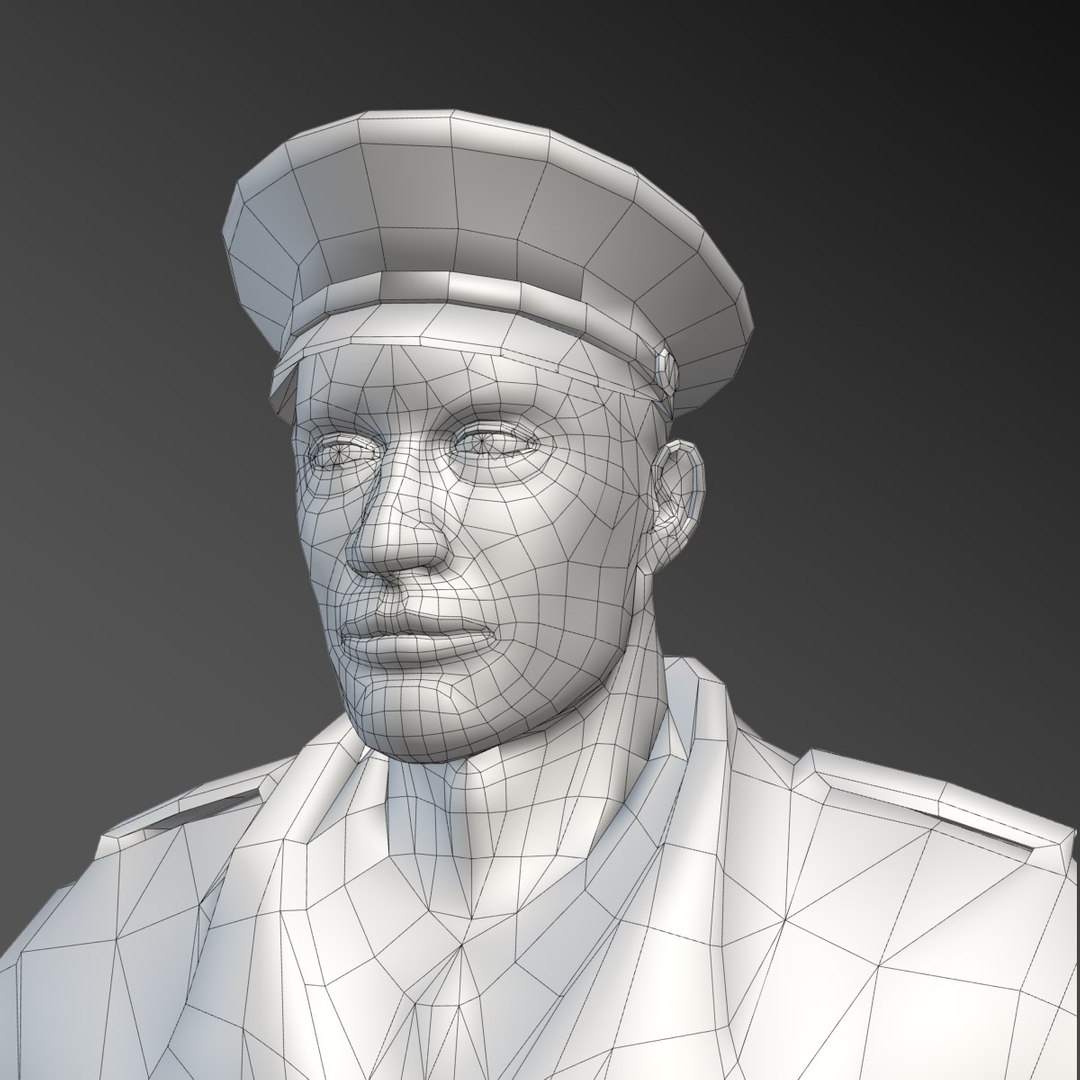 3d Model Airliner Pilot