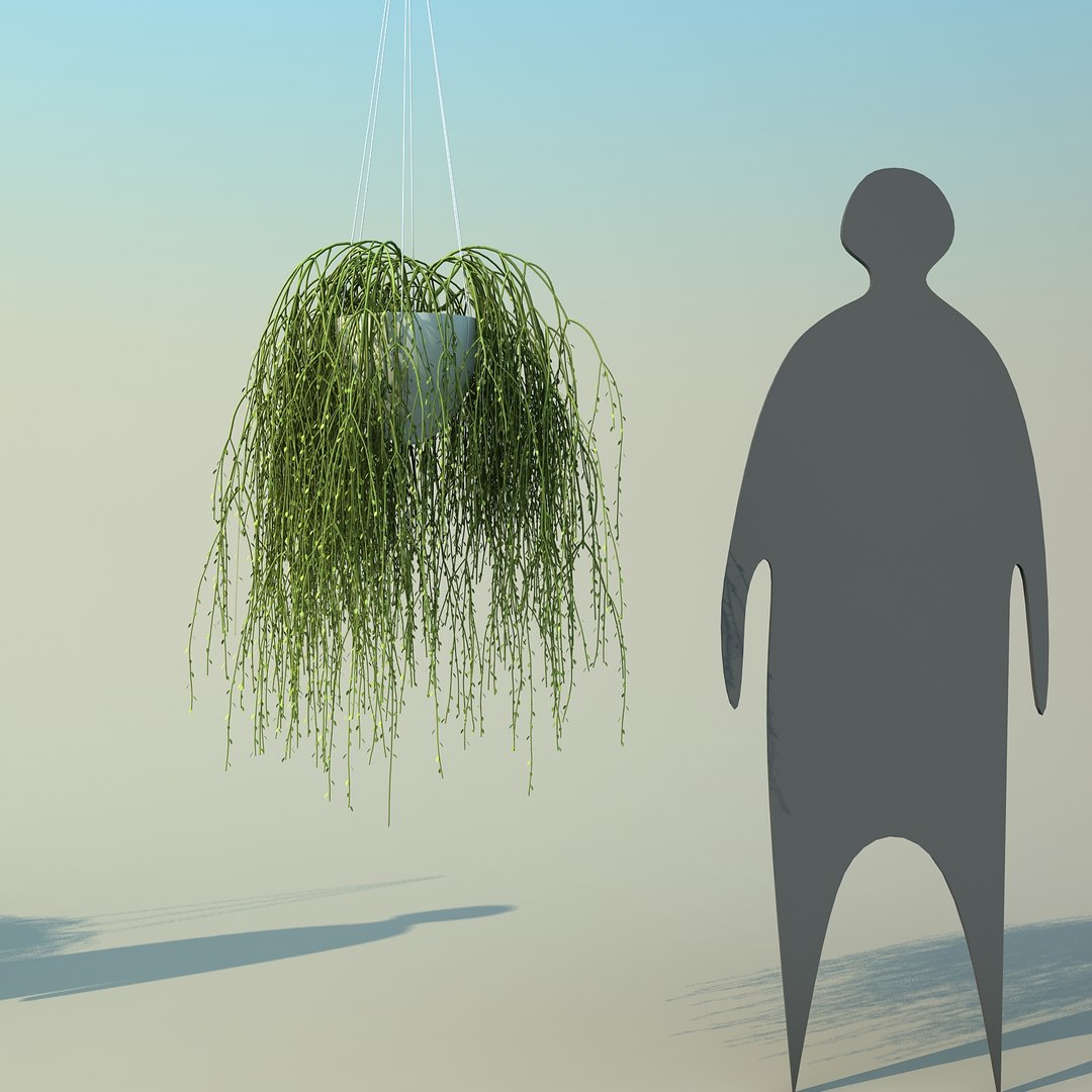 3D 2 Plants - TurboSquid 1150745
