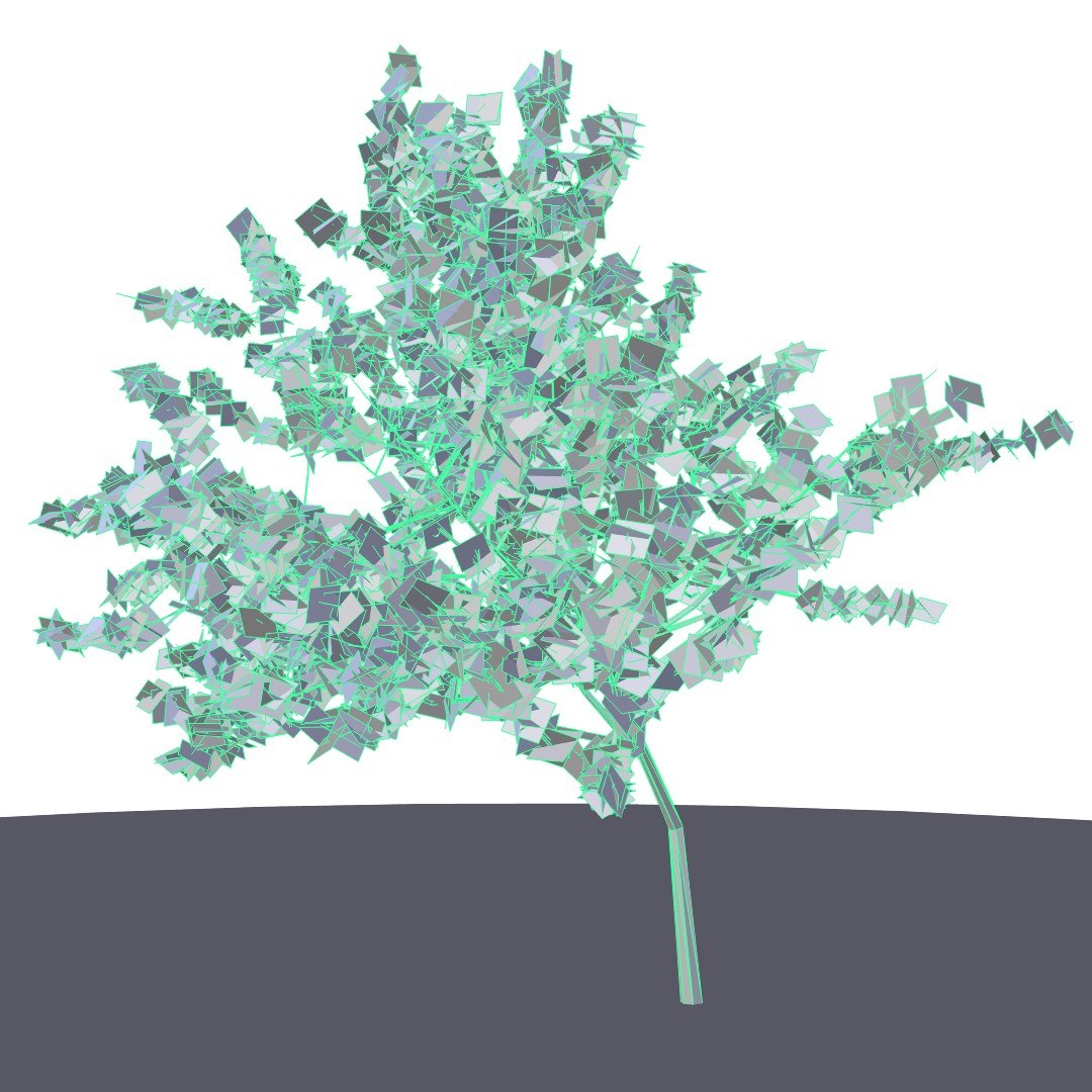 3d Tree Leaf Model