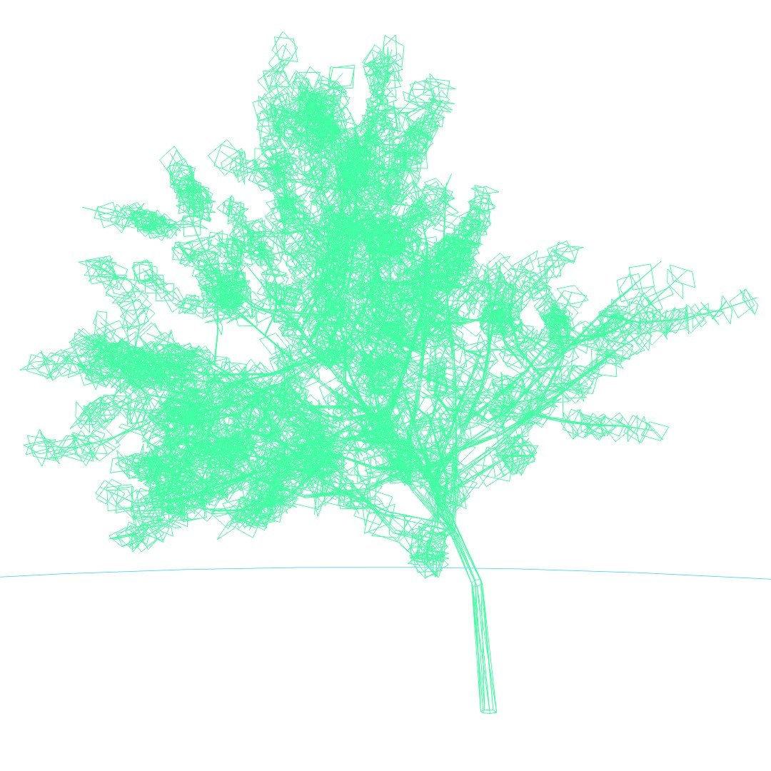 3d Tree Leaf Model
