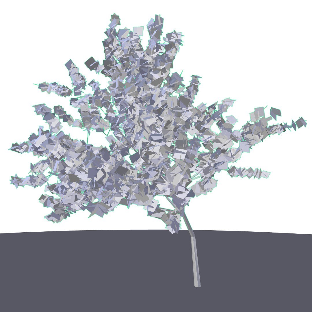 3d Tree Leaf Model