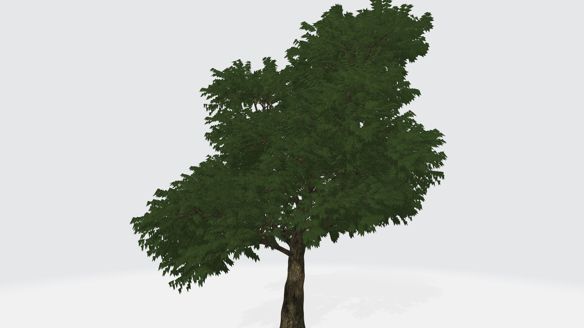 3D Scattered green tree - TurboSquid 1956120