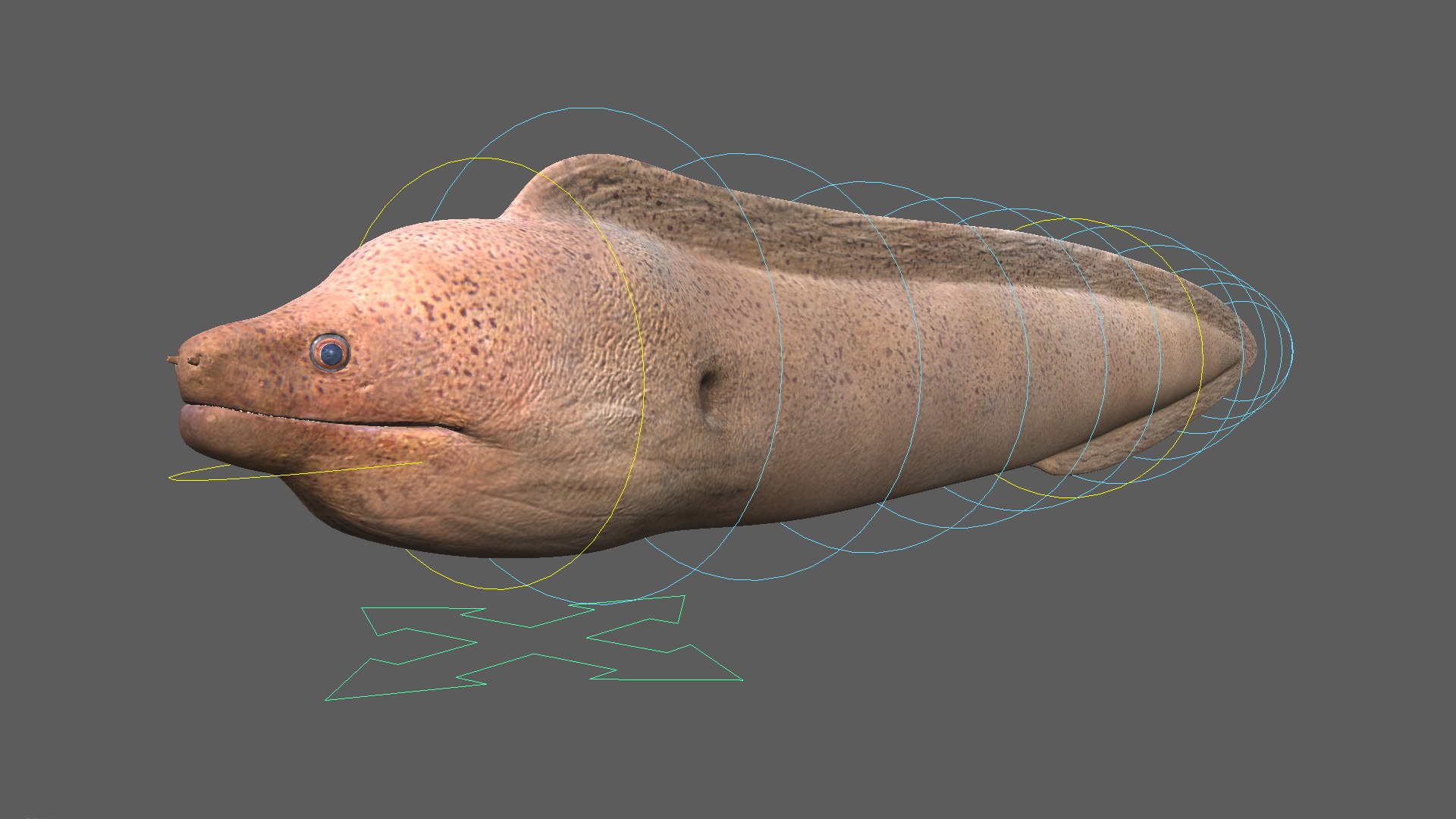 Realistic Giant Moray Eel Xsi