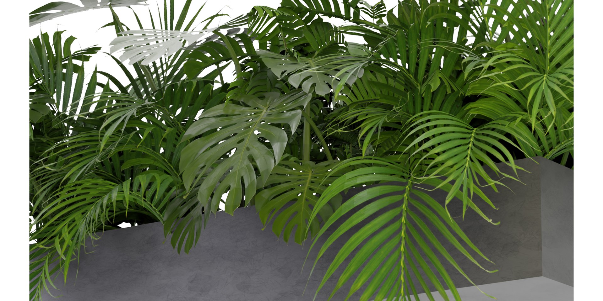 3D Collection Plant Vol 306 - Blender Model - TurboSquid 2092163