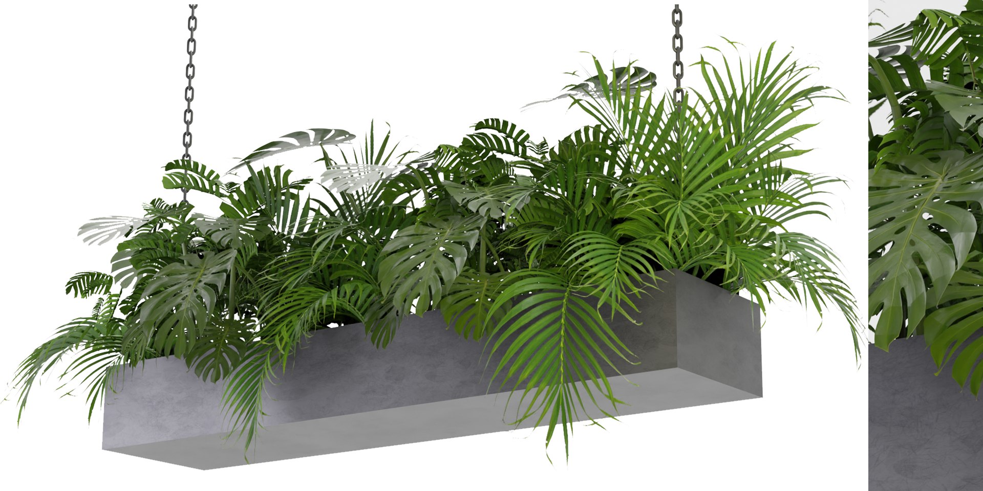 3D Collection Plant Vol 306 - Blender Model - TurboSquid 2092163