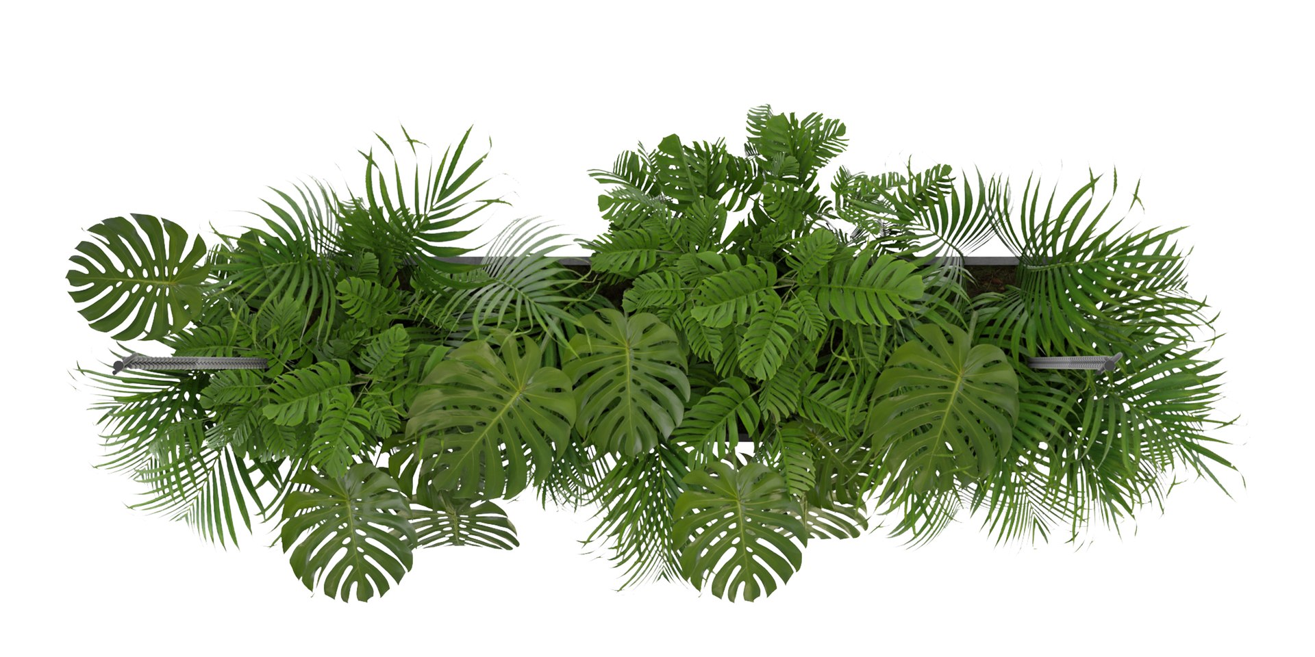 3D Collection Plant Vol 306 - Blender Model - TurboSquid 2092163