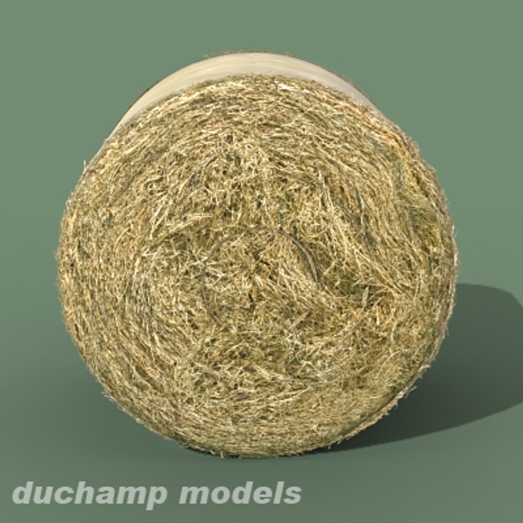 Hay Bale 3d Model