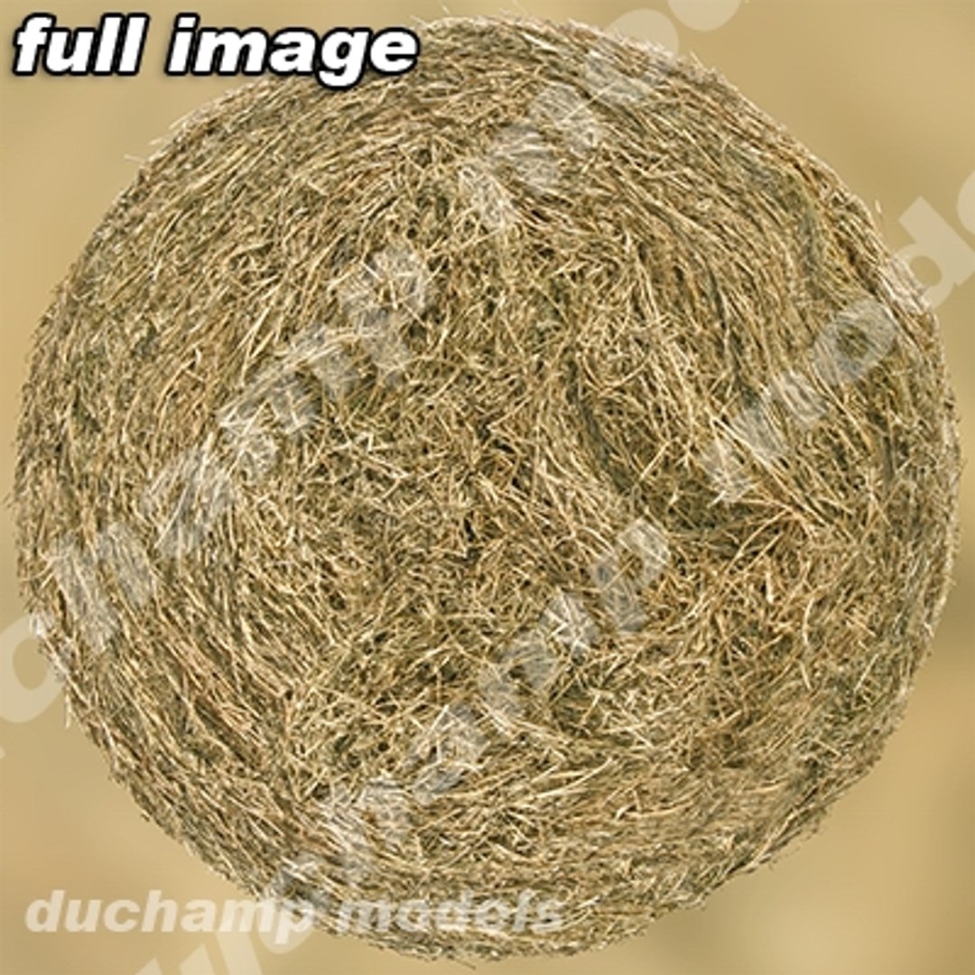 Hay Bale 3d Model