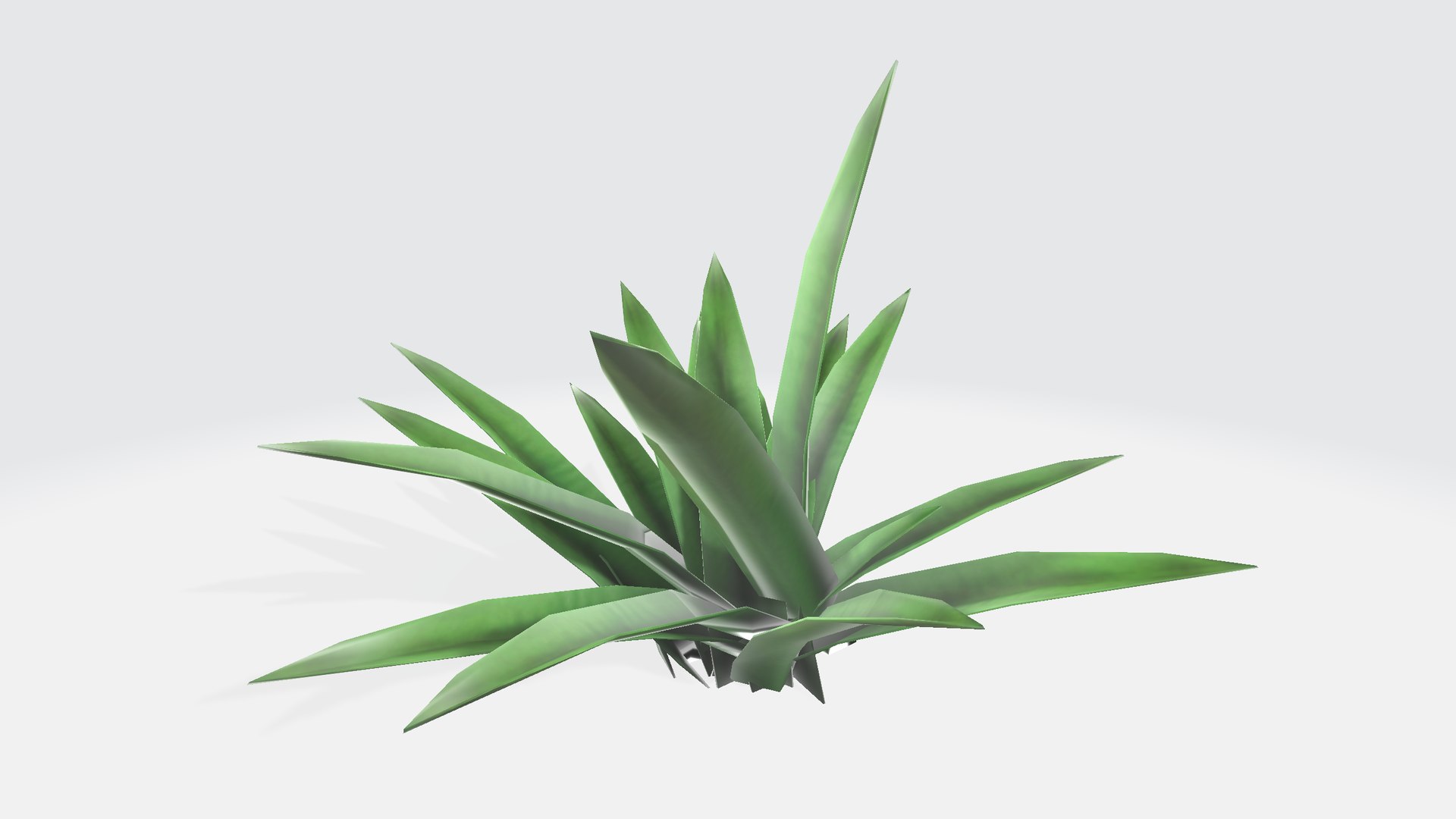 3D Plant Large - TurboSquid 2364987