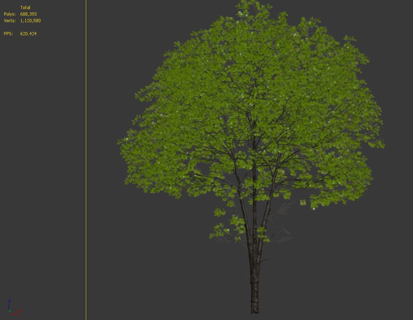 Tulip Tree 3D Model - TurboSquid 1936631