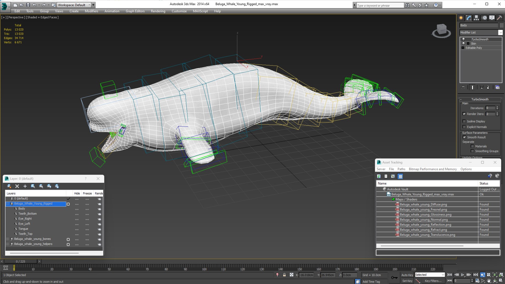 3D Beluga Whale Young Rigged - TurboSquid 2027787