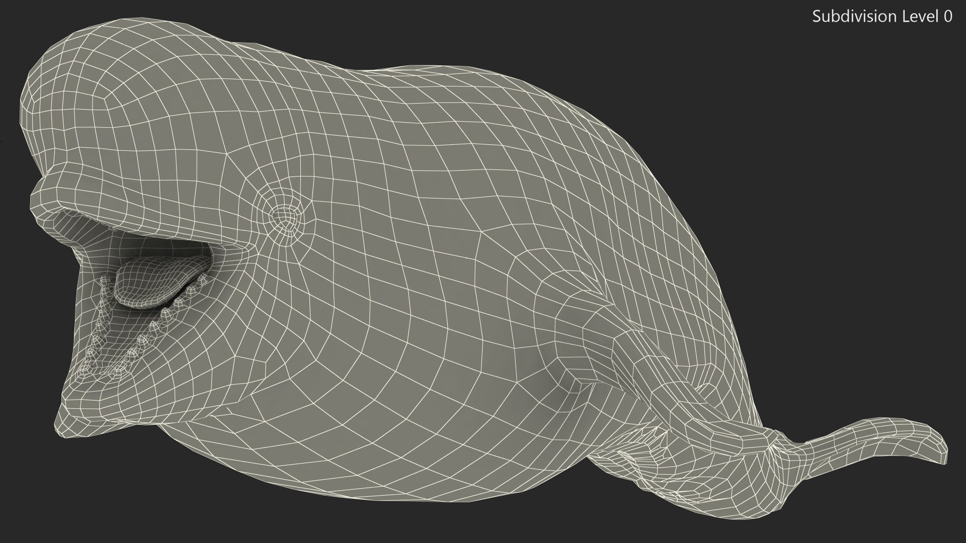 3D Beluga Whale Young Rigged - TurboSquid 2027787