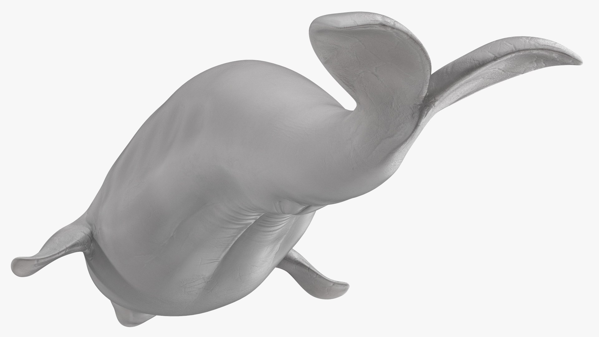 3D Beluga Whale Young Rigged - TurboSquid 2027787