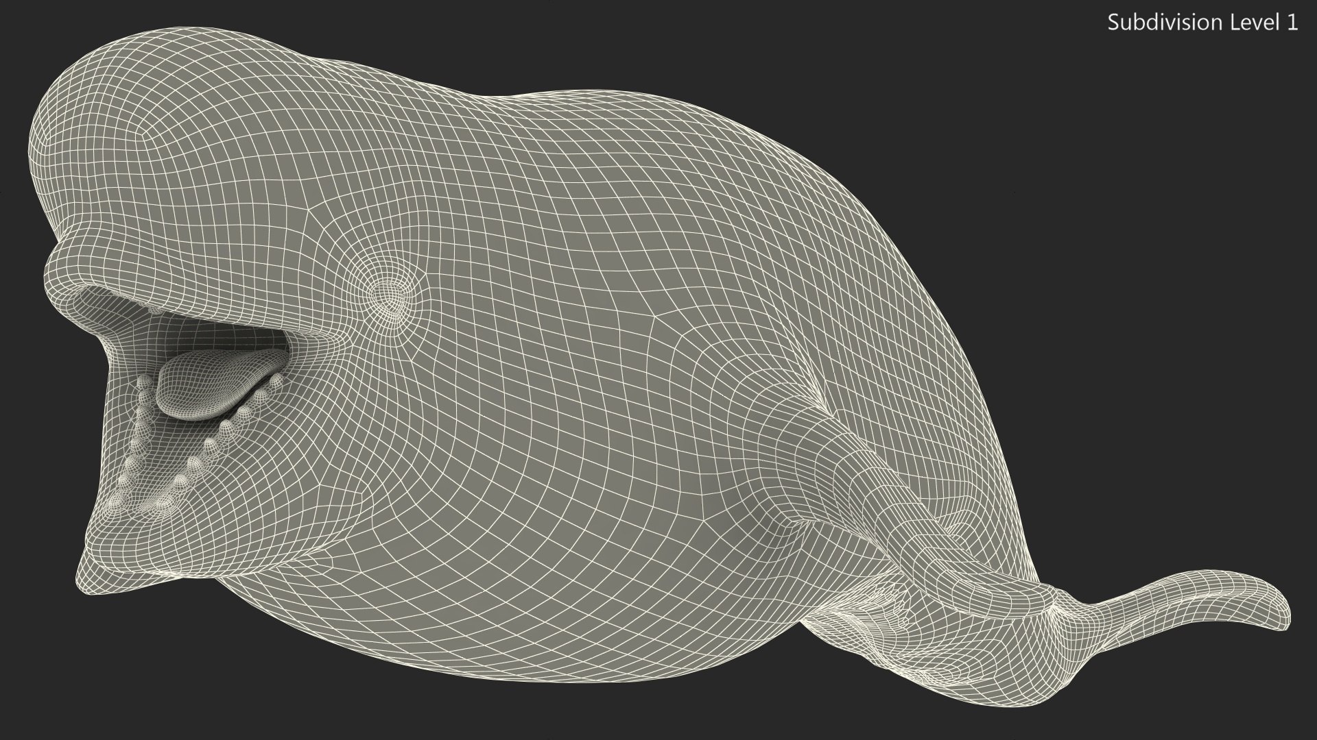3D Beluga Whale Young Rigged - TurboSquid 2027787