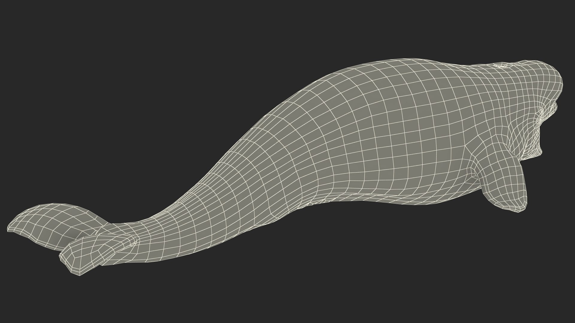 3D Beluga Whale Young Rigged - TurboSquid 2027787