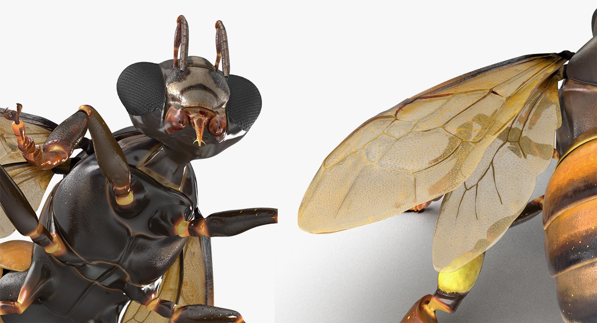 3D Honey Bee With Robot Bee Collection - TurboSquid 2306073