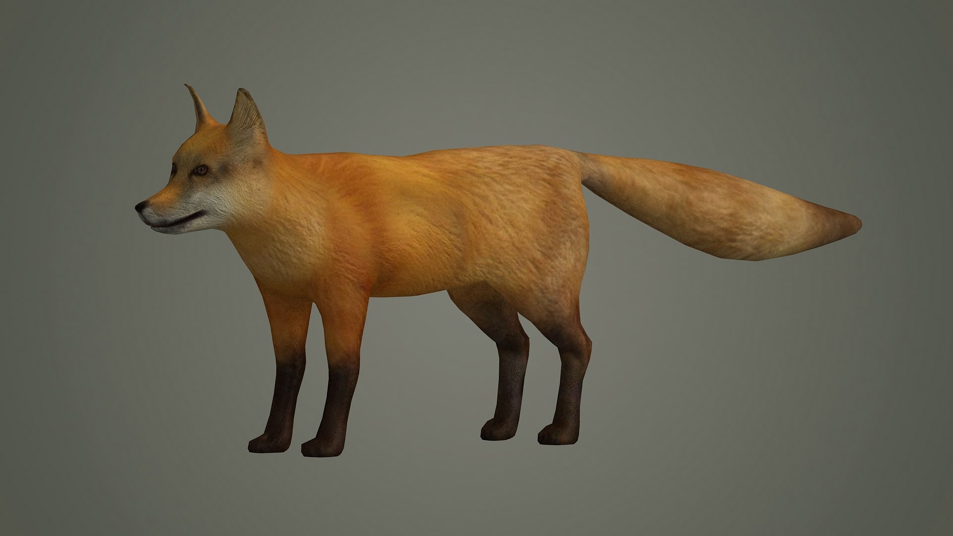 3D Wildlife Fox Animal Mammal Fox Animal Nature Wild - TurboSquid 2216225