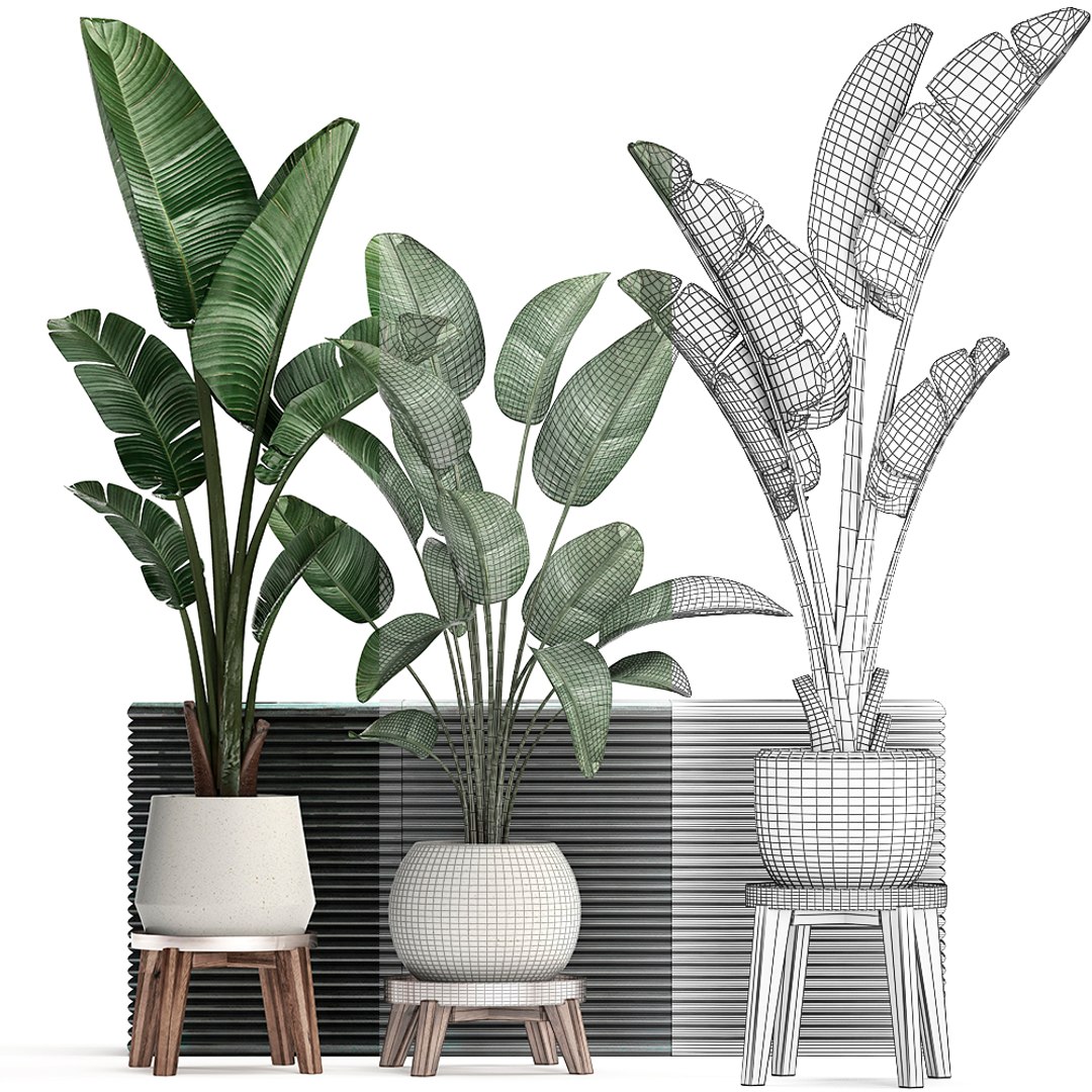 3D Exotic Plants - TurboSquid 1524825