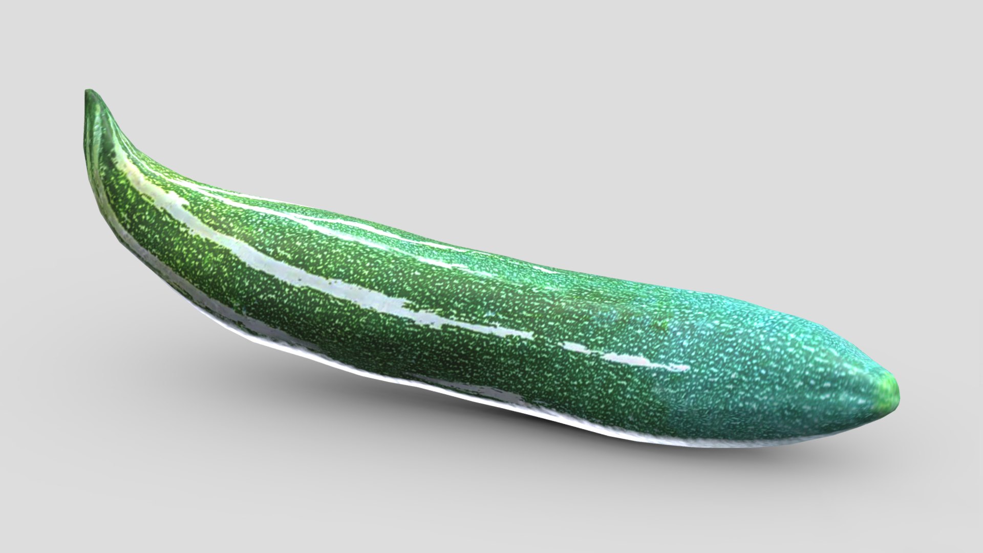 3D Vegetable Snake Gourd Low Poly Model - TurboSquid 2367642