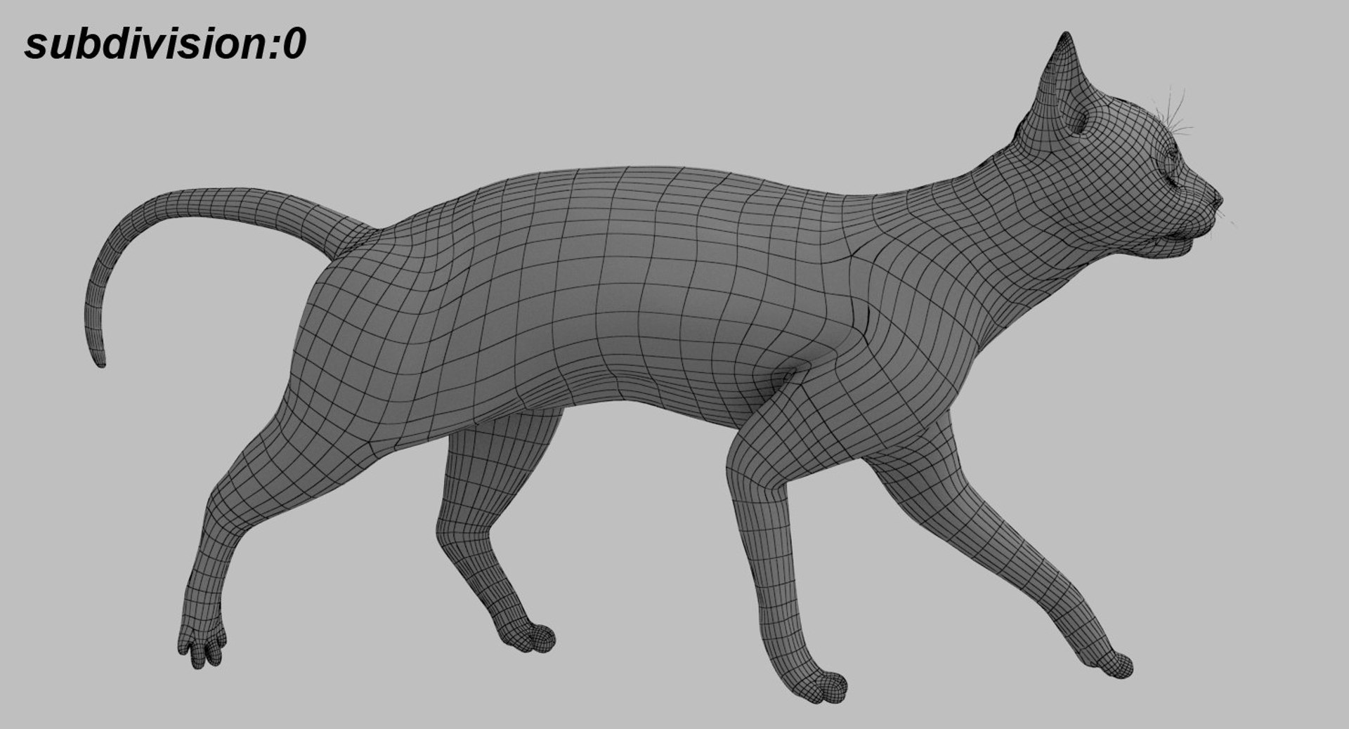 Rigged fur 3D model - TurboSquid 1371377