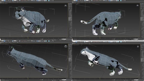 Animals africa cat cartoon model - TurboSquid 1302042