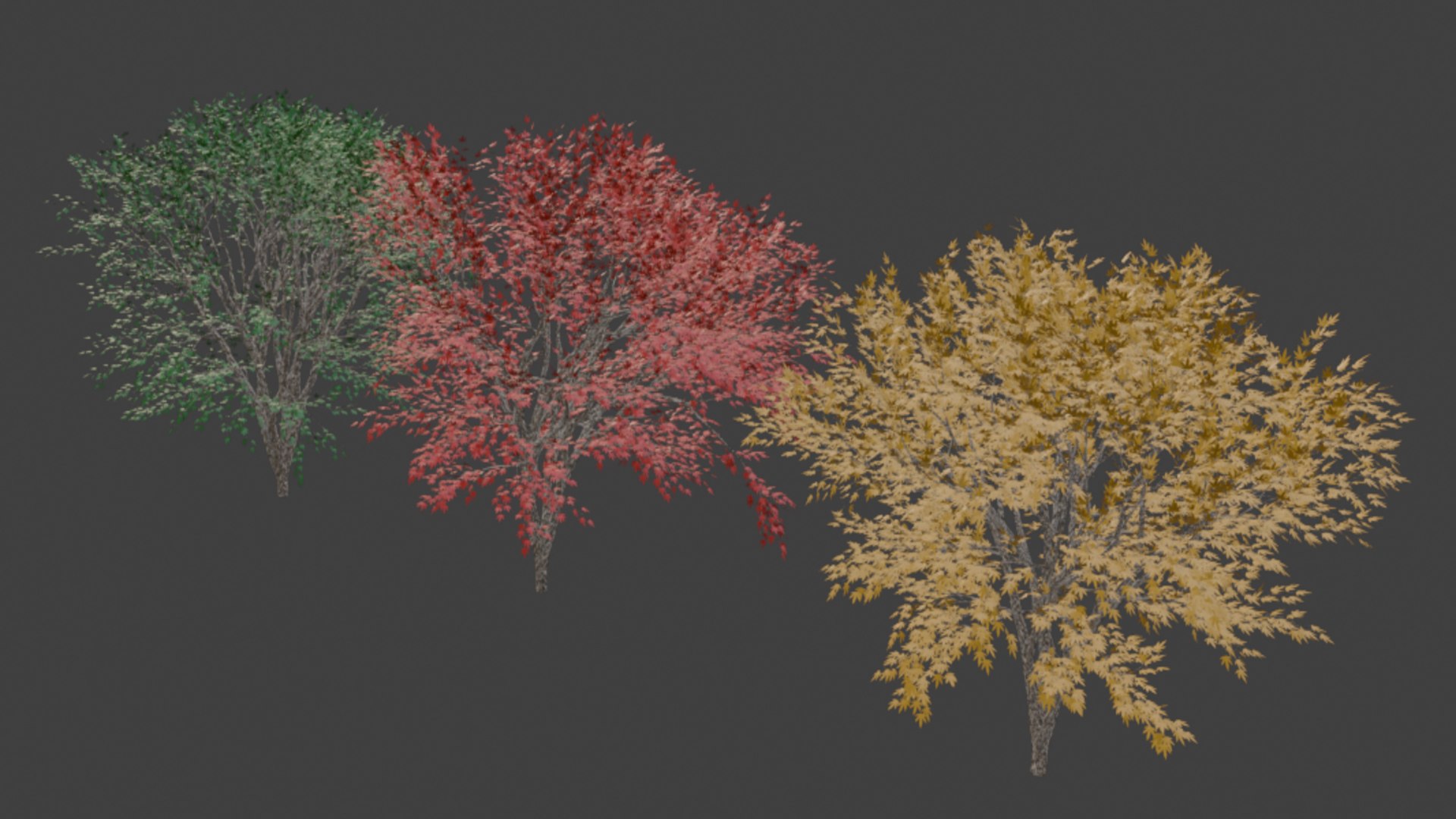 3D Model Maple Tree - TurboSquid 2356213