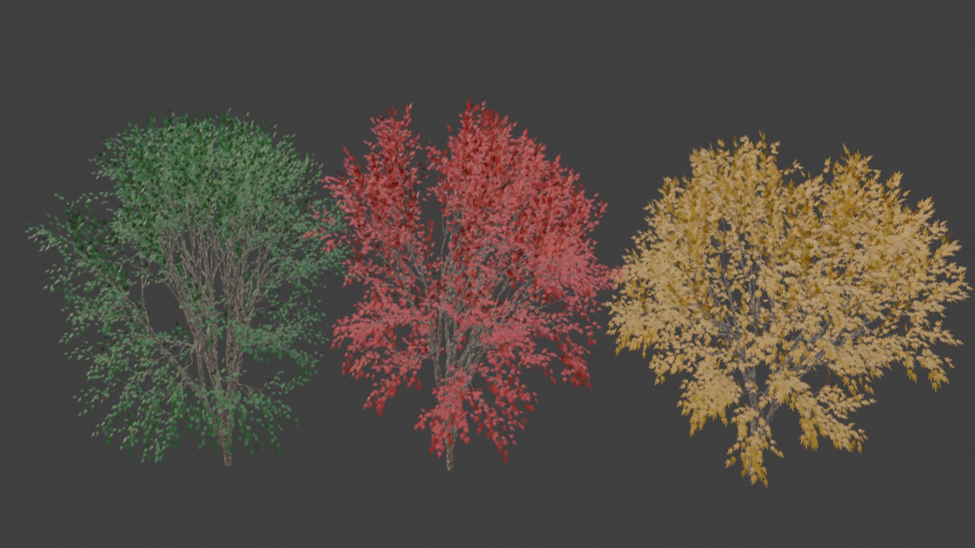 3D Model Maple Tree - TurboSquid 2356213