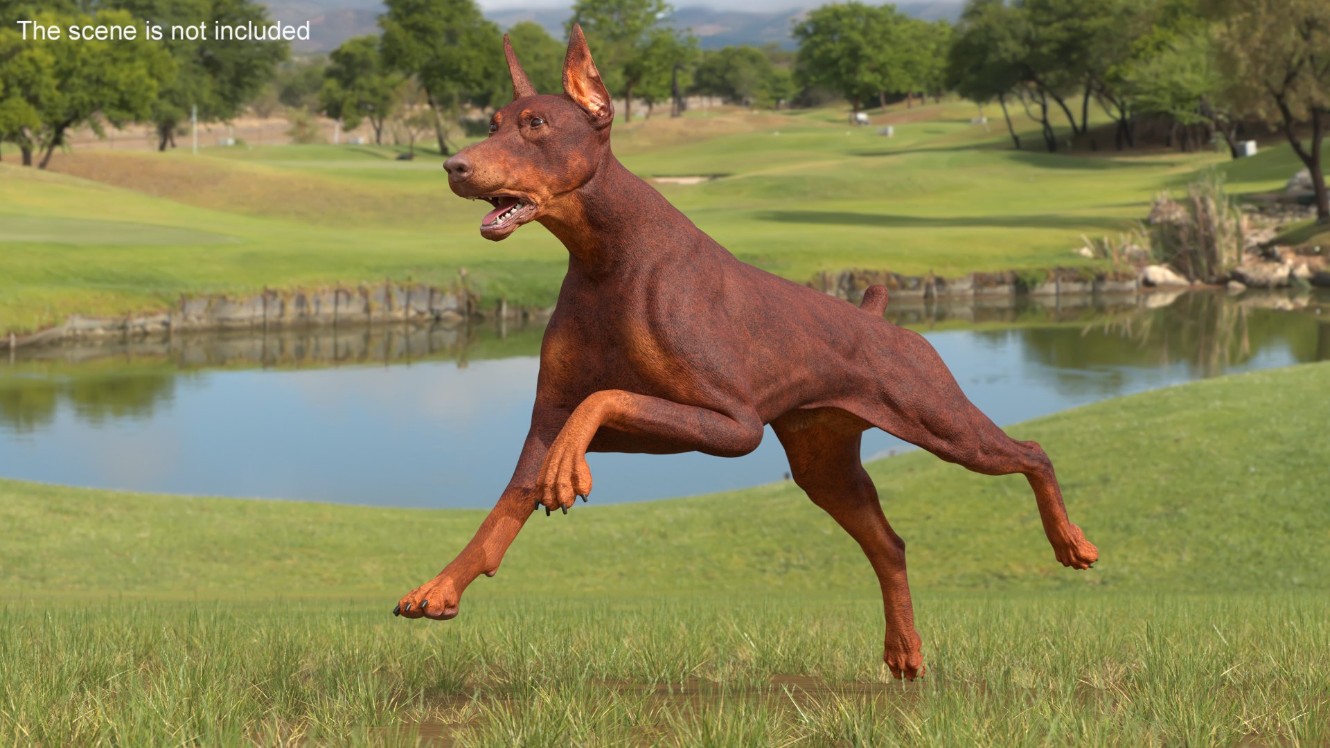 3D Doberman Dog Brown Rigged For Maya Model - TurboSquid 2276426