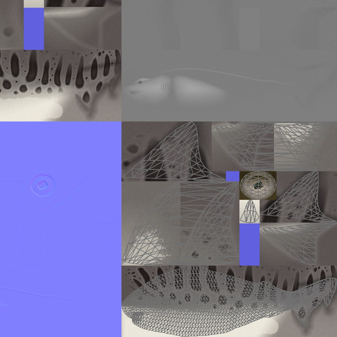 Leopard Shark 3D Model - TurboSquid 1748378