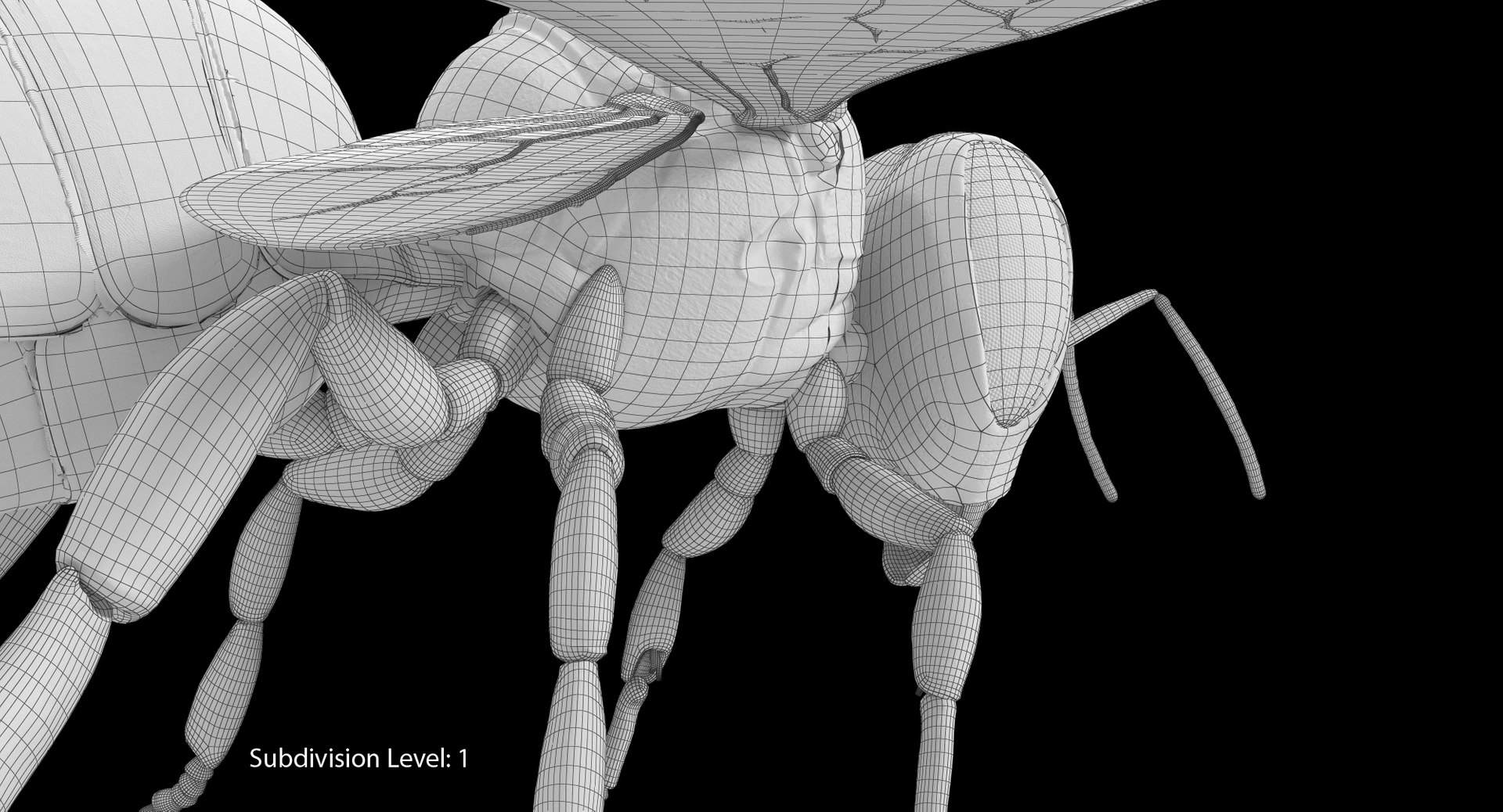 Max Honey Bee