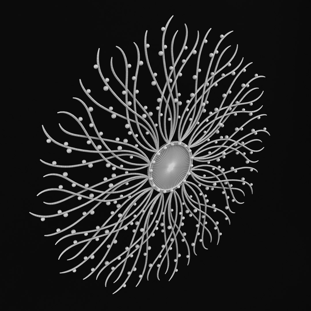 Leaf Mirror 3d Model