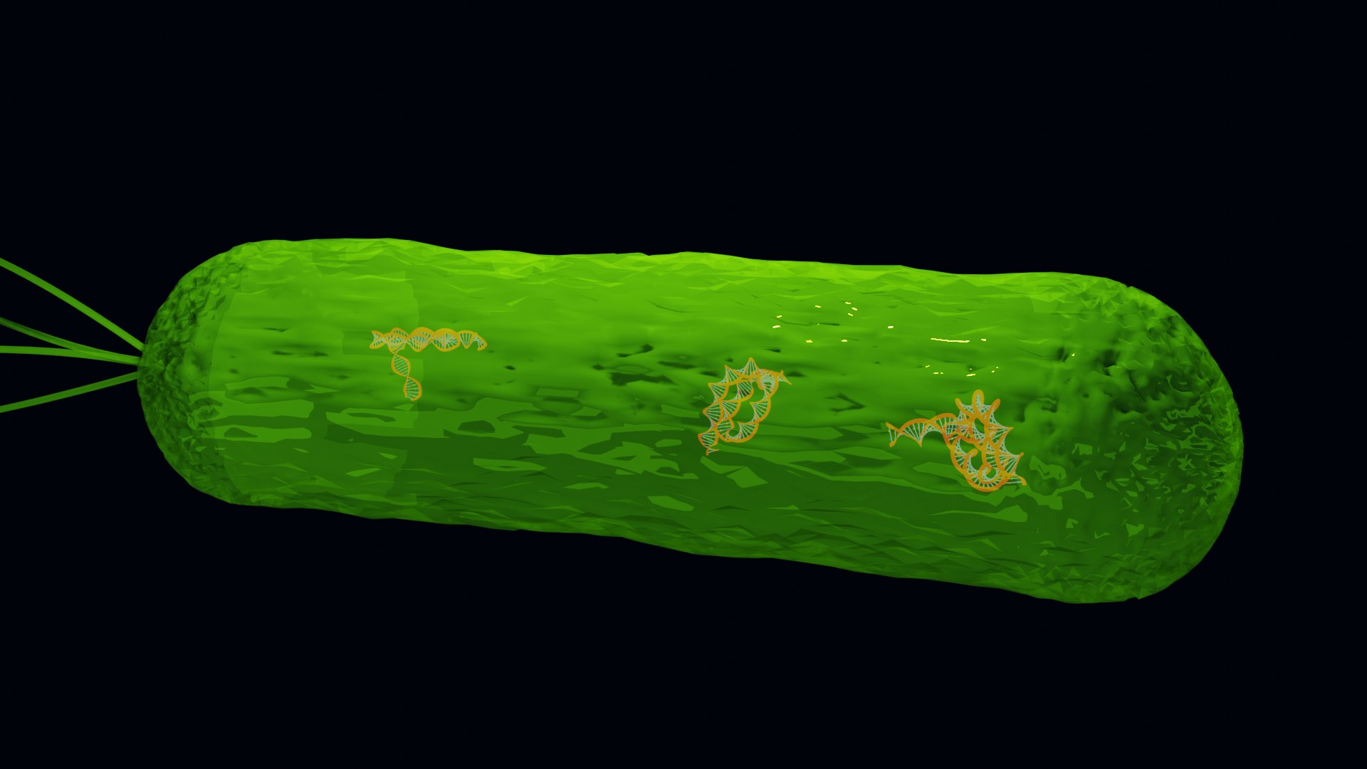 Bacteria With Dna Helix Detailed 3D Model - TurboSquid 2055950