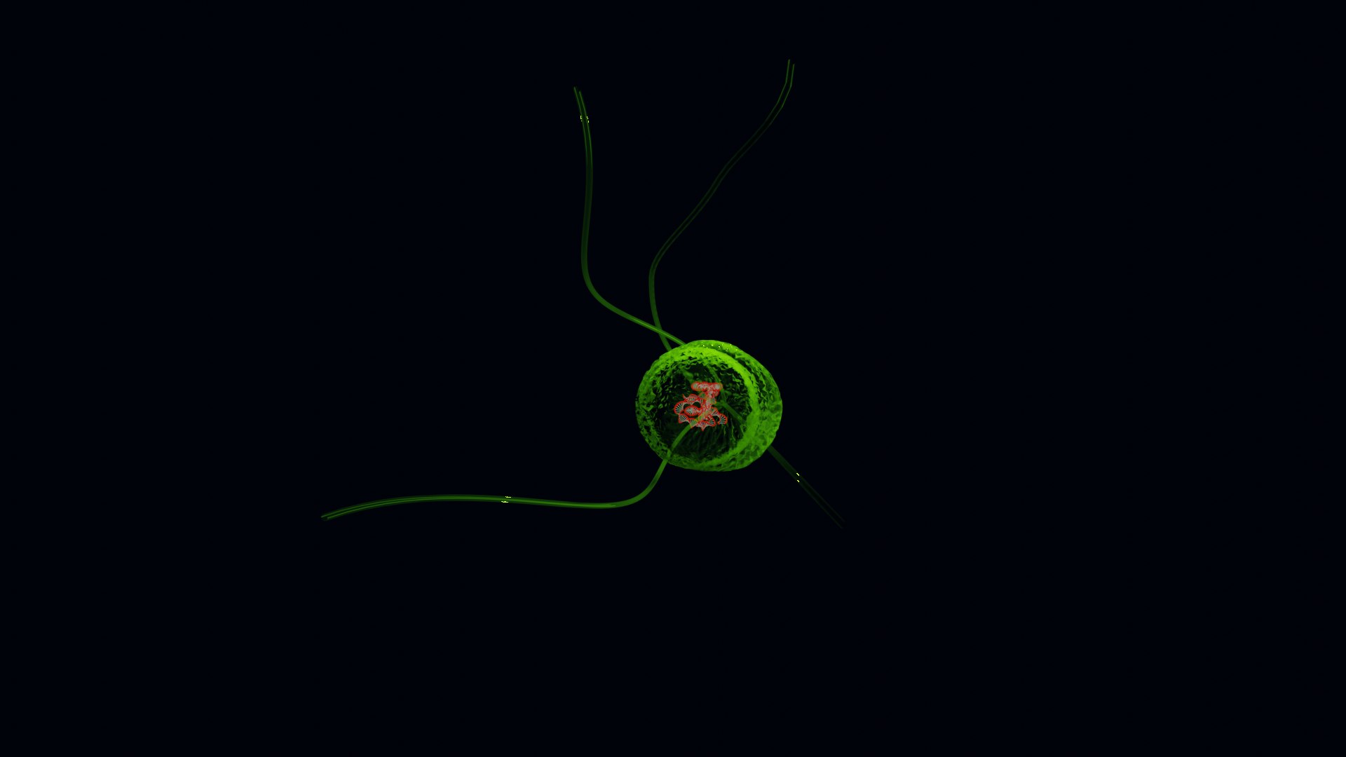 Bacteria With Dna Helix Detailed 3D Model - TurboSquid 2055950