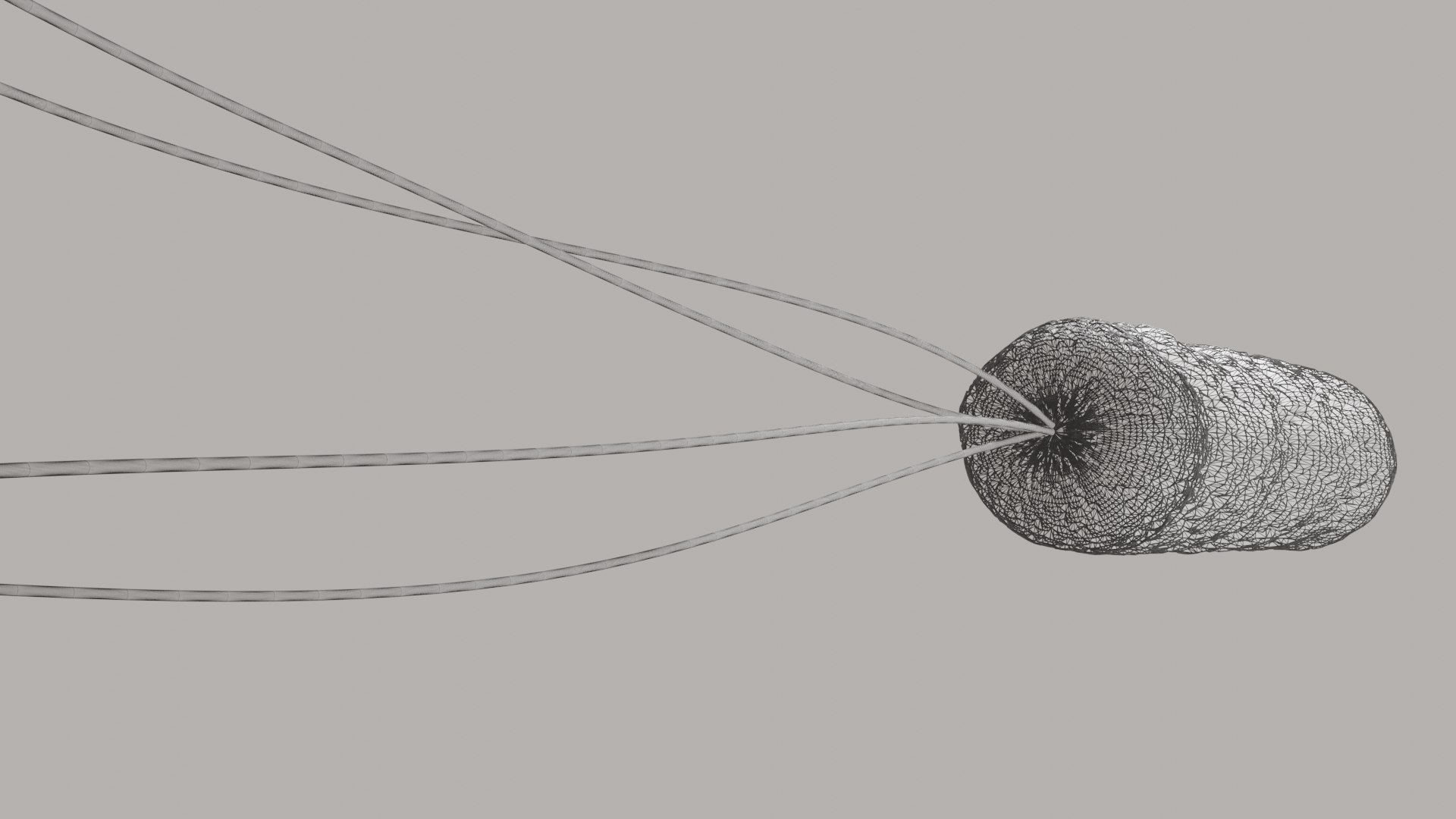Bacteria With Dna Helix Detailed 3D Model - TurboSquid 2055950