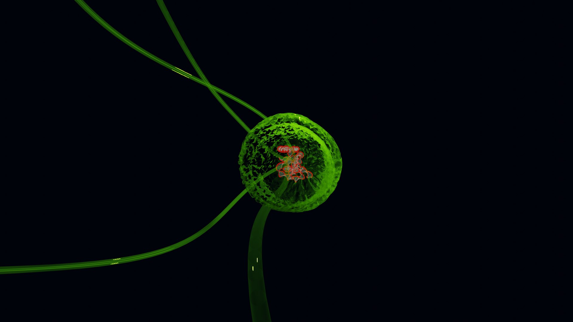 Bacteria With Dna Helix Detailed 3D Model - TurboSquid 2055950